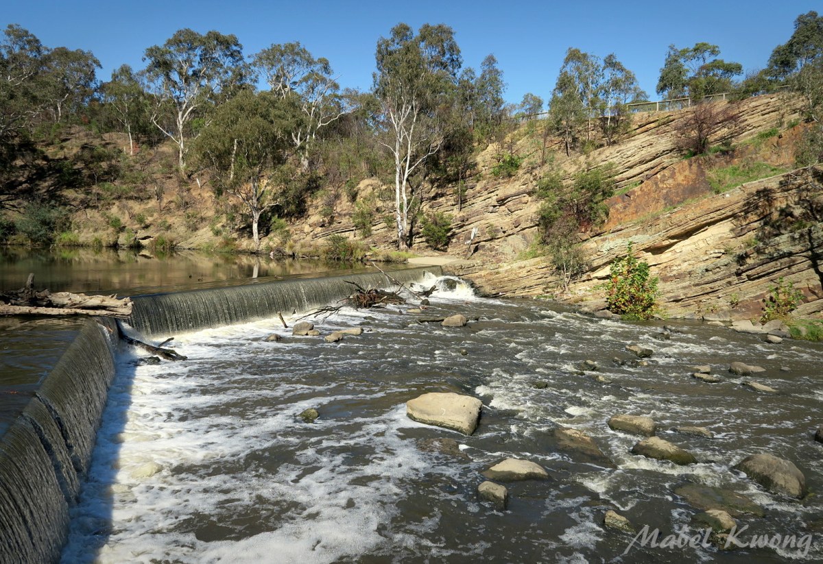What Are Some Of Australia’s Favourite Hobbies And Pastimes? – Mabel Kwong