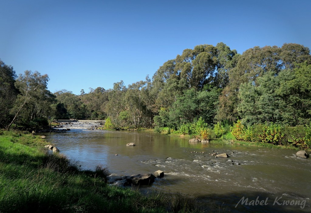 What Are Some Of Australia’s Favourite Hobbies And Pastimes? – Mabel Kwong