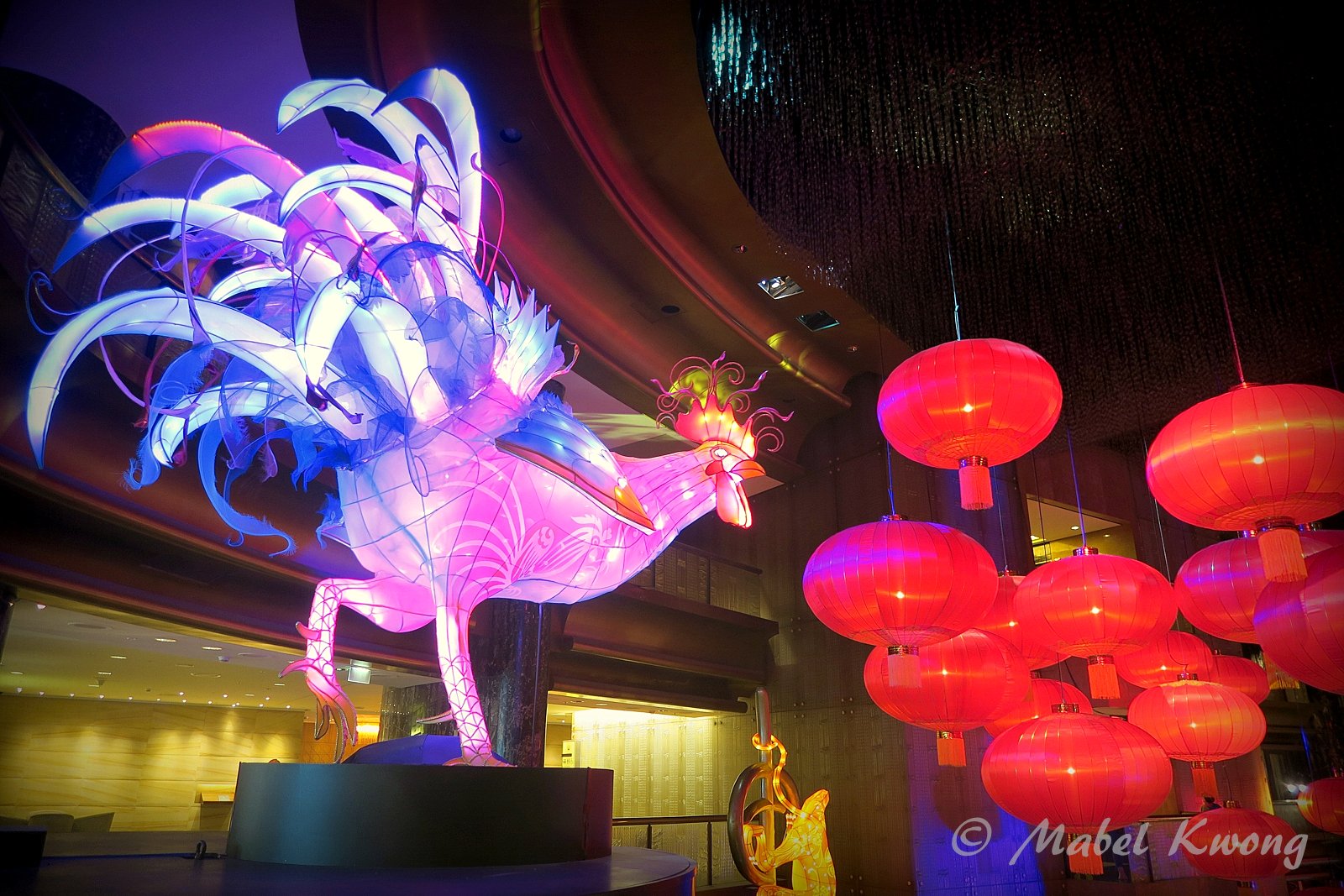 What Is The Difference Between Race And Ethnicity? – Mabel Kwong