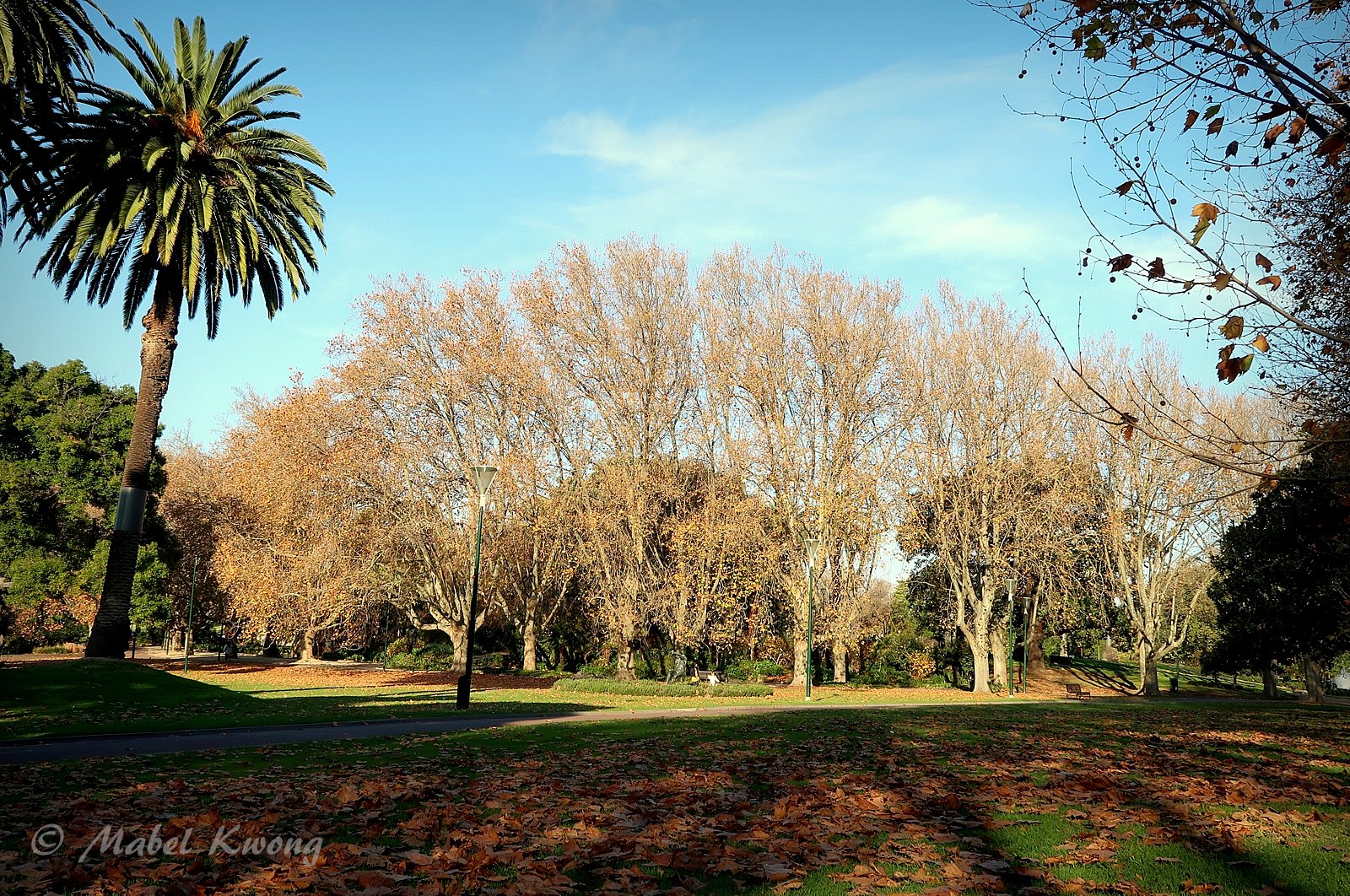 Hot vs Cold Weather: Pros and Cons Comparison – Mabel Kwong